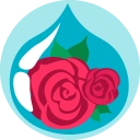 Raindrop Rose | Star Stable Wiki | Fandom