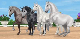 Lipizzaner | Star Stable Wiki | Fandom