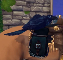 Raben | Star Stable Wiki | Fandom