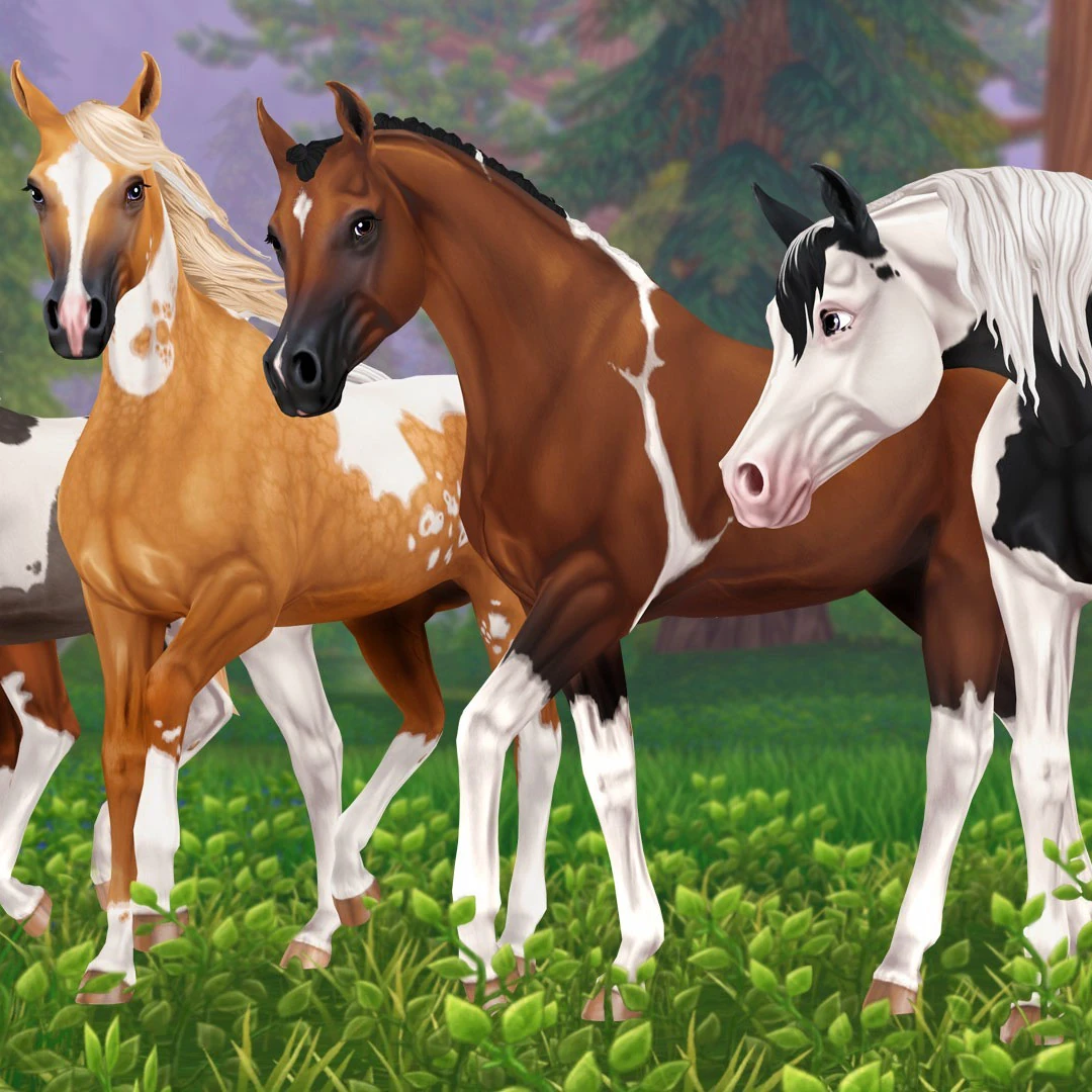 Araberpinto | Star Stable Wiki | Fandom