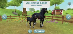 Percheron | Star Stable Wiki | Fandom