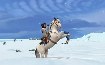 Criollo | Star Stable Wiki | Fandom