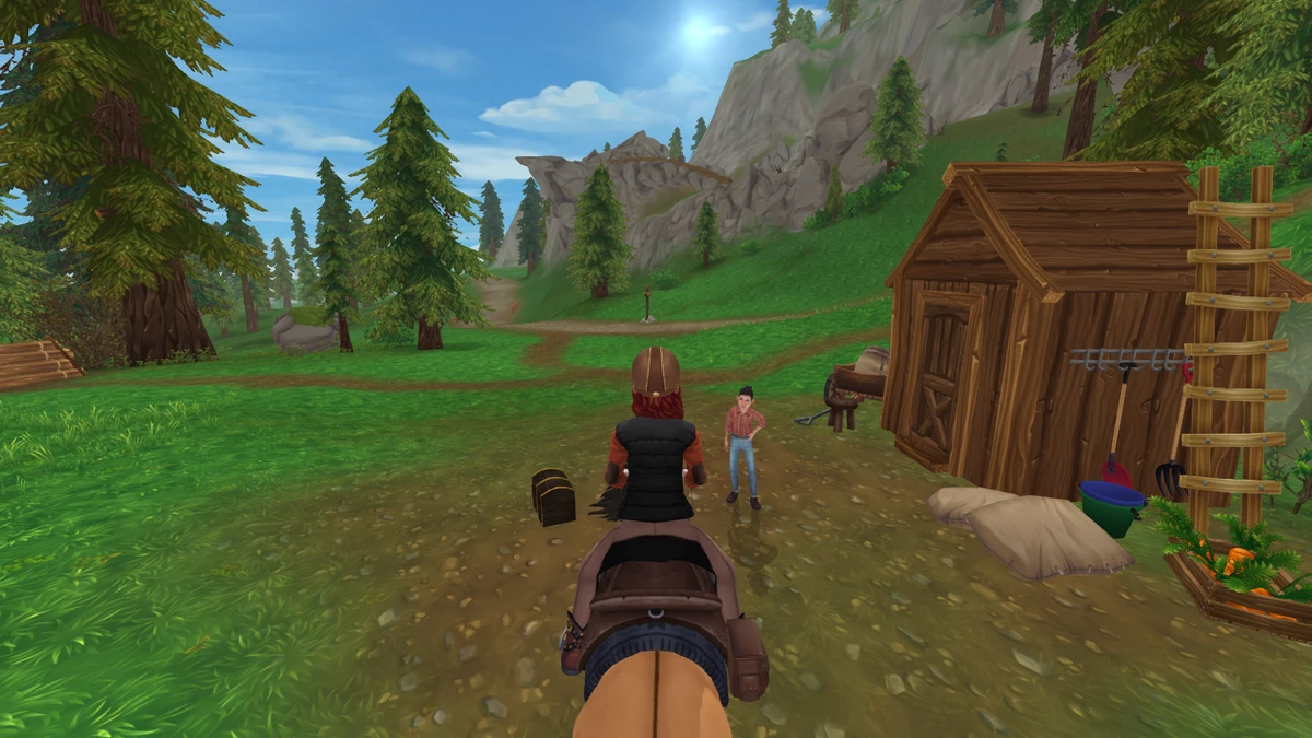 Andys- Wettbewerbs-Anmeldungen | Star Stable Wiki | Fandom