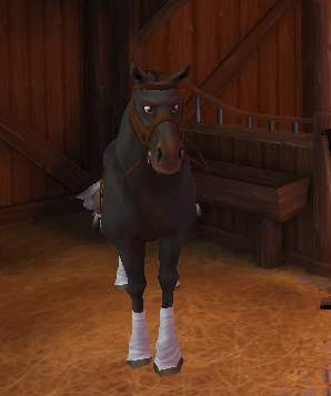 Khaan | Star Stable Wiki | Fandom