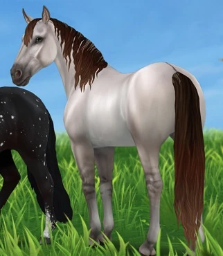 Alvirah | Star Stable Wiki | Fandom