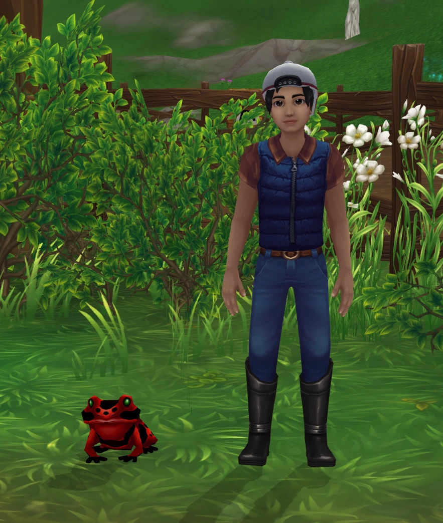 Tai | Star Stable Wiki | Fandom