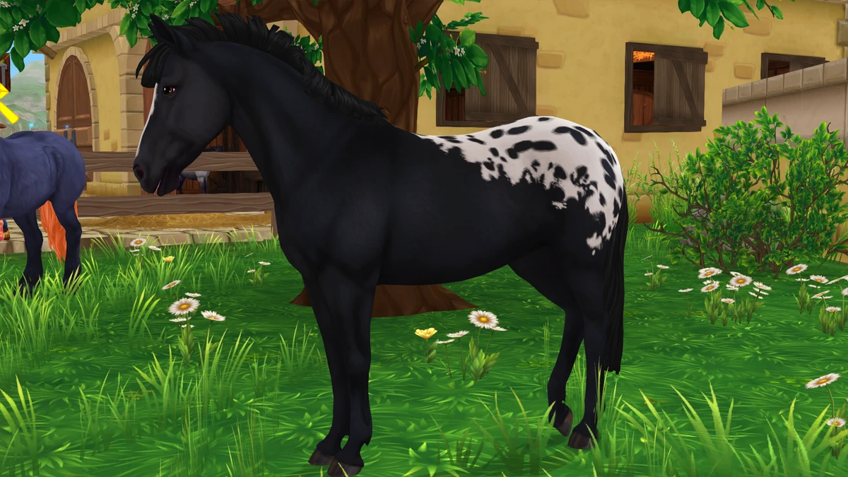 Galaxy | Star Stable Wiki | Fandom