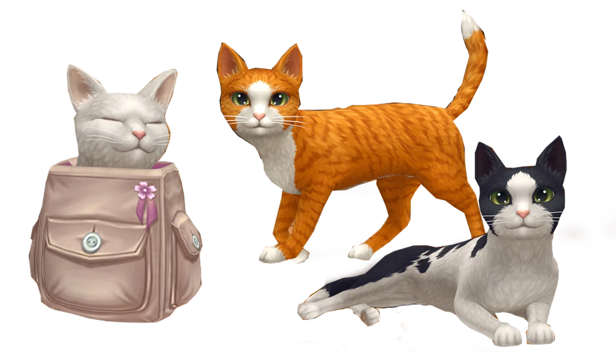 Katzen | Star Stable Wiki | Fandom