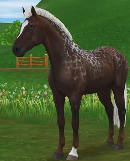 Galvatair | Star Stable Wiki | Fandom