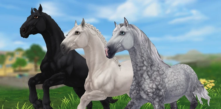 Percheron | Star Stable Wiki | Fandom