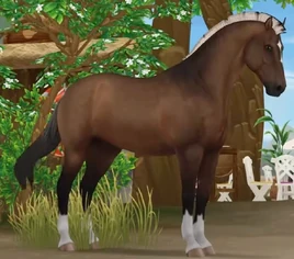 Bronte | Star Stable Wiki | Fandom