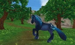 Dorcha | Star Stable Wiki | Fandom