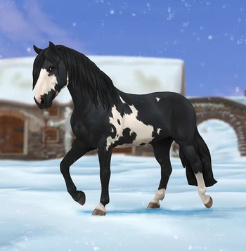 Criollo | Star Stable Wiki | Fandom