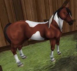 Mustang | Star Stable Wiki | Fandom