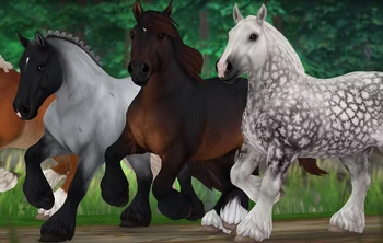 Ardenner | Star Stable Wiki | Fandom
