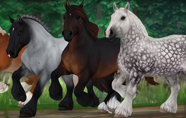 Ardenner | Star Stable Wiki | Fandom