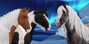 Irish Cob | Star Stable Wiki | Fandom