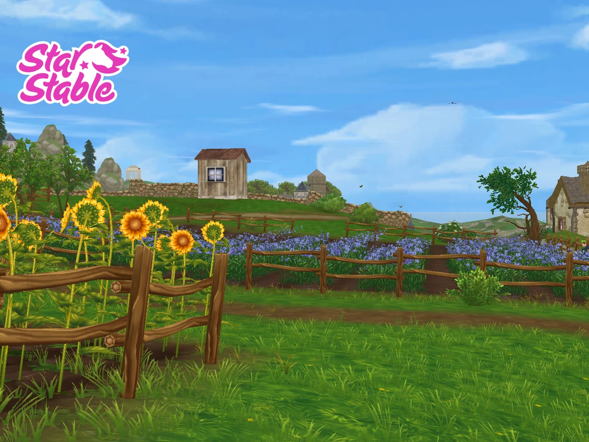 Der Seepferd-Punkt | Star Stable Wiki | Fandom