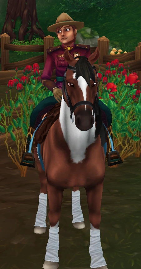 Alonso | Star Stable Wiki | Fandom