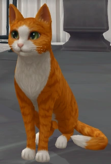 Katzen | Star Stable Wiki | Fandom