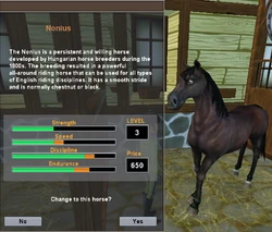 Nonius | Star Stable Wiki | Fandom