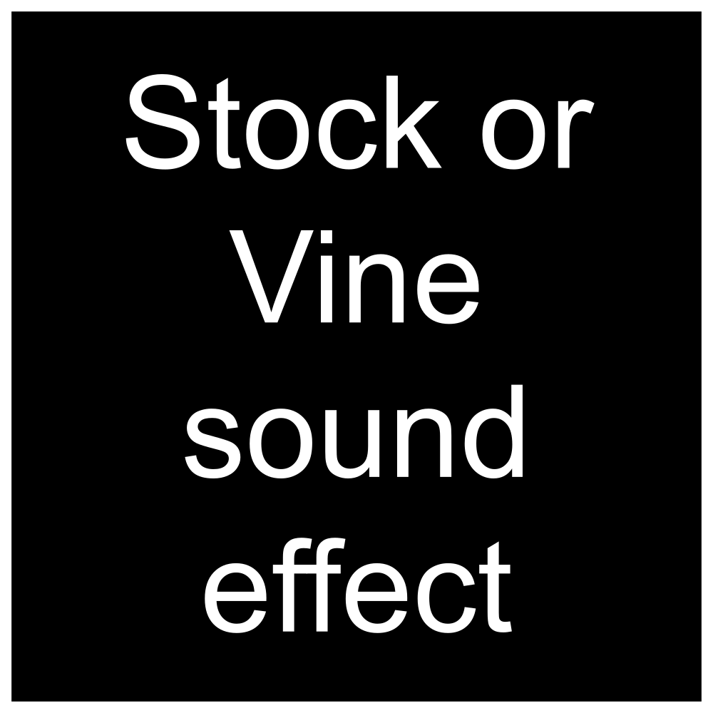 Stock or Vine sound effect | SSSniperWolf BBBingo! Wiki | Fandom
