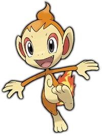 Chimchar | Bager Wiki | Fandom