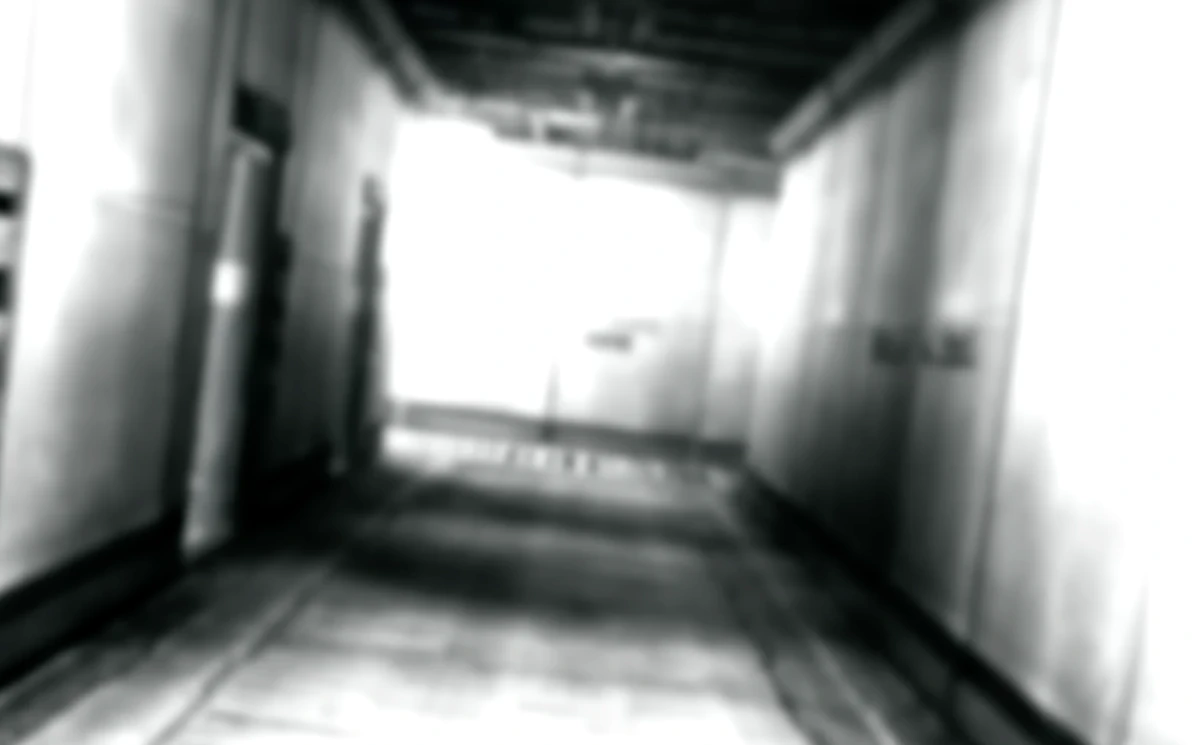 Facility Dimension (Design) | SSTWL Wiki | Fandom