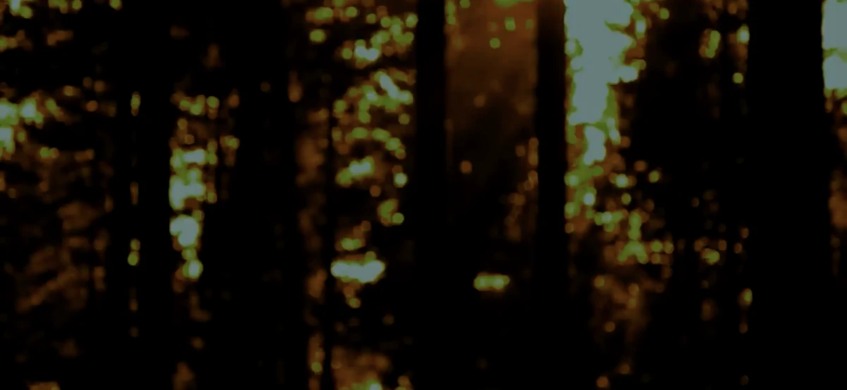 Homebound Dimension (Design) | SSTWL Wiki | Fandom