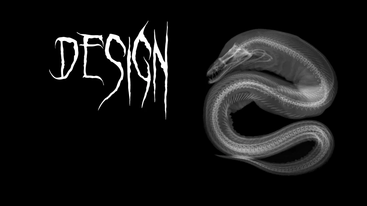 Design | SSTWL Wiki | Fandom