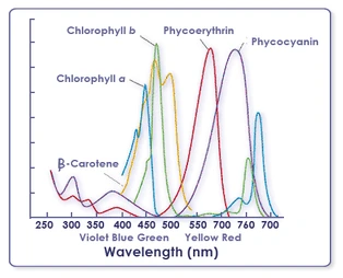 Photosynthetically Active Radiation (PAR) | SSU Ocean Instruments Wiki ...
