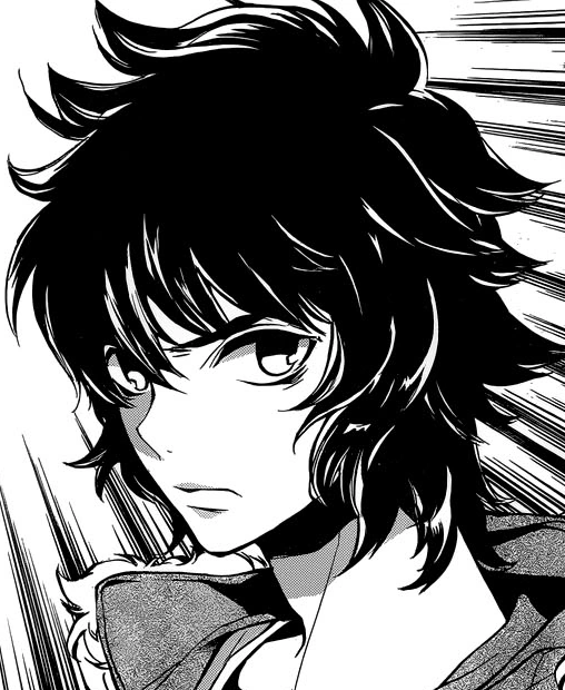 Ikki de Fênix (Hero of Heroes) | Seiya Universe Wiki | Fandom