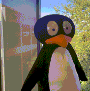 Images of JiJi | ST Math Wiki | Fandom