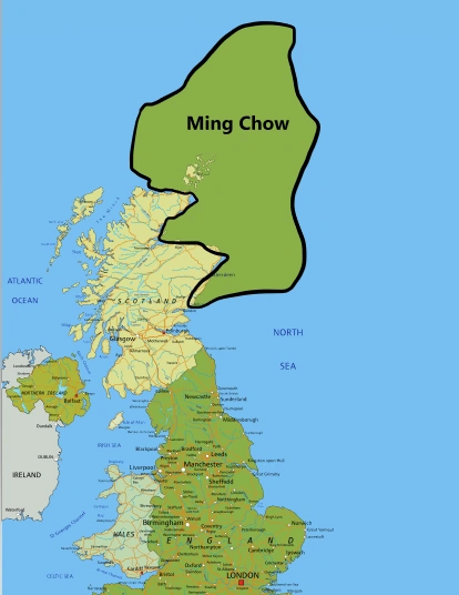 Ming Chow | St Willys Archives Wiki | Fandom