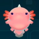 Axolotl | Stabfish.io Wiki | Fandom