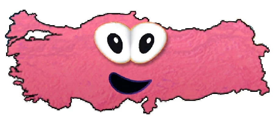 Turkey | Stack the States and Stack the Countries Wiki | Fandom