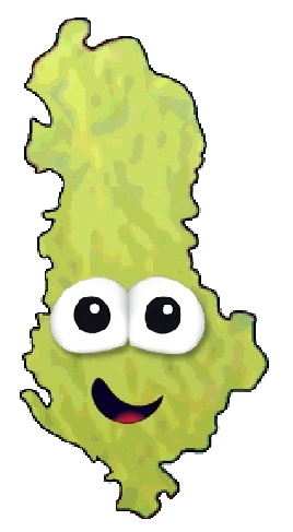 Albania | Stack the States and Stack the Countries Wiki | Fandom