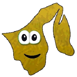 Brunei | Stack the States and Stack the Countries Wiki | Fandom