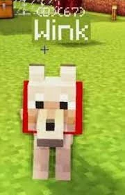 Wink | StacyPlays Wiki | Fandom