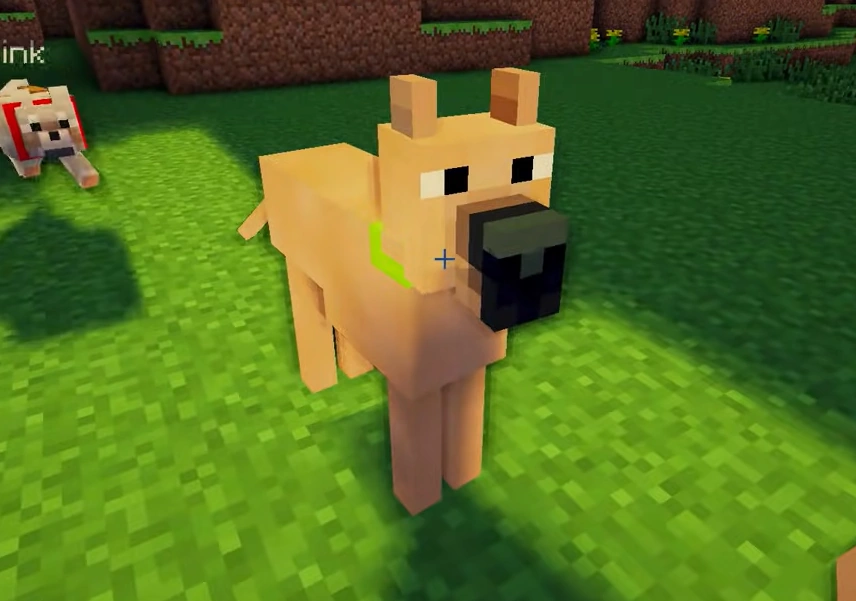 Noodle | Stacyplays Dogcraft Wiki | Fandom