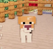 Stacyplays Dogcraft Wiki | Fandom