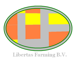 Ermingard | Wikistad | Fandom