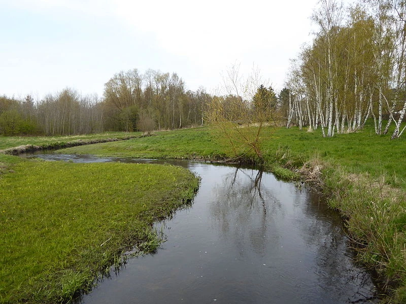 Hettinger | Wikistad | Fandom