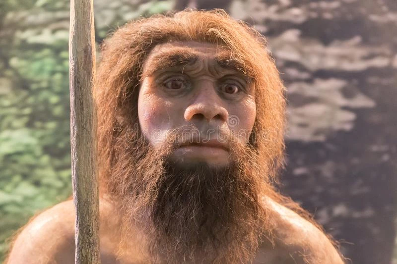 Caveman Bob | Meme Cinematic Universe Wiki | Fandom