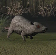 Mutants | S.T.A.L.K.E.R. Anomaly Wiki | Fandom