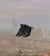 Mutants | S.T.A.L.K.E.R. Anomaly Wiki | Fandom