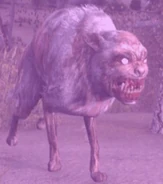 Mutants | S.T.A.L.K.E.R. Anomaly Wiki | Fandom