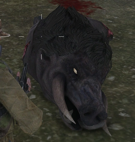 Mutant Hogs | Stalker Online Wiki | Fandom