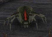 Small Spiders | Stalker Online Wiki | Fandom