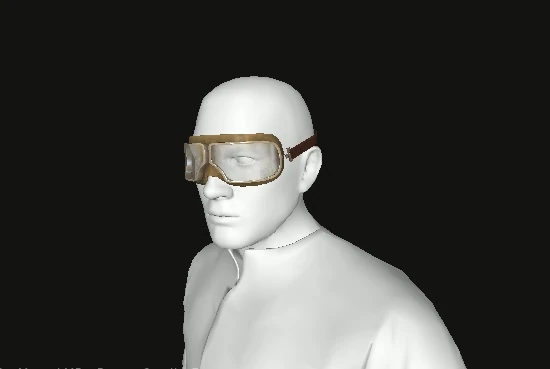 ZP1-80 protective glasses | Stalker Online Wiki | Fandom